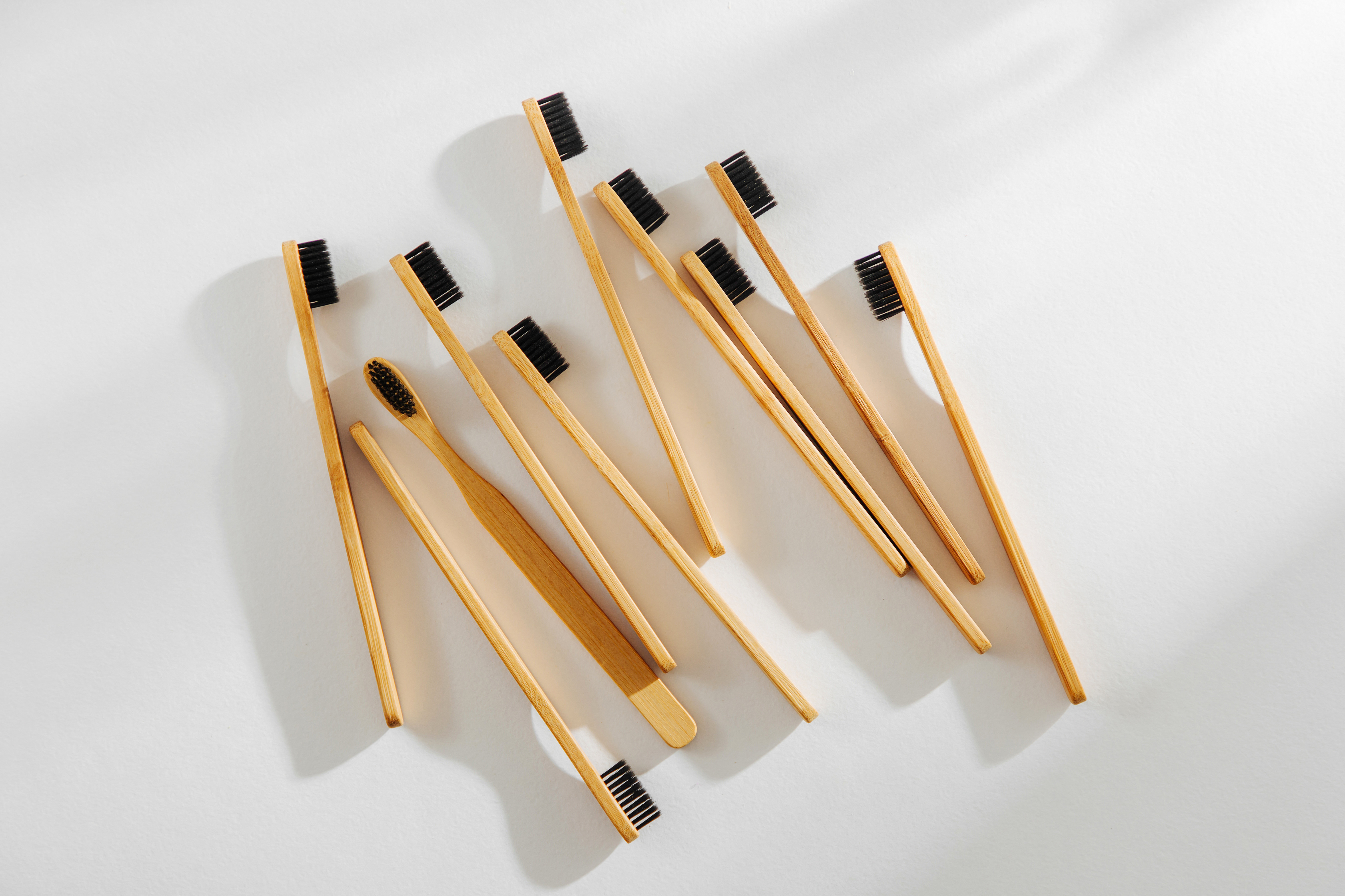 Orren Ellis Tenesia Bamboo Toothbrushes On Canvas Photograph | Wayfair