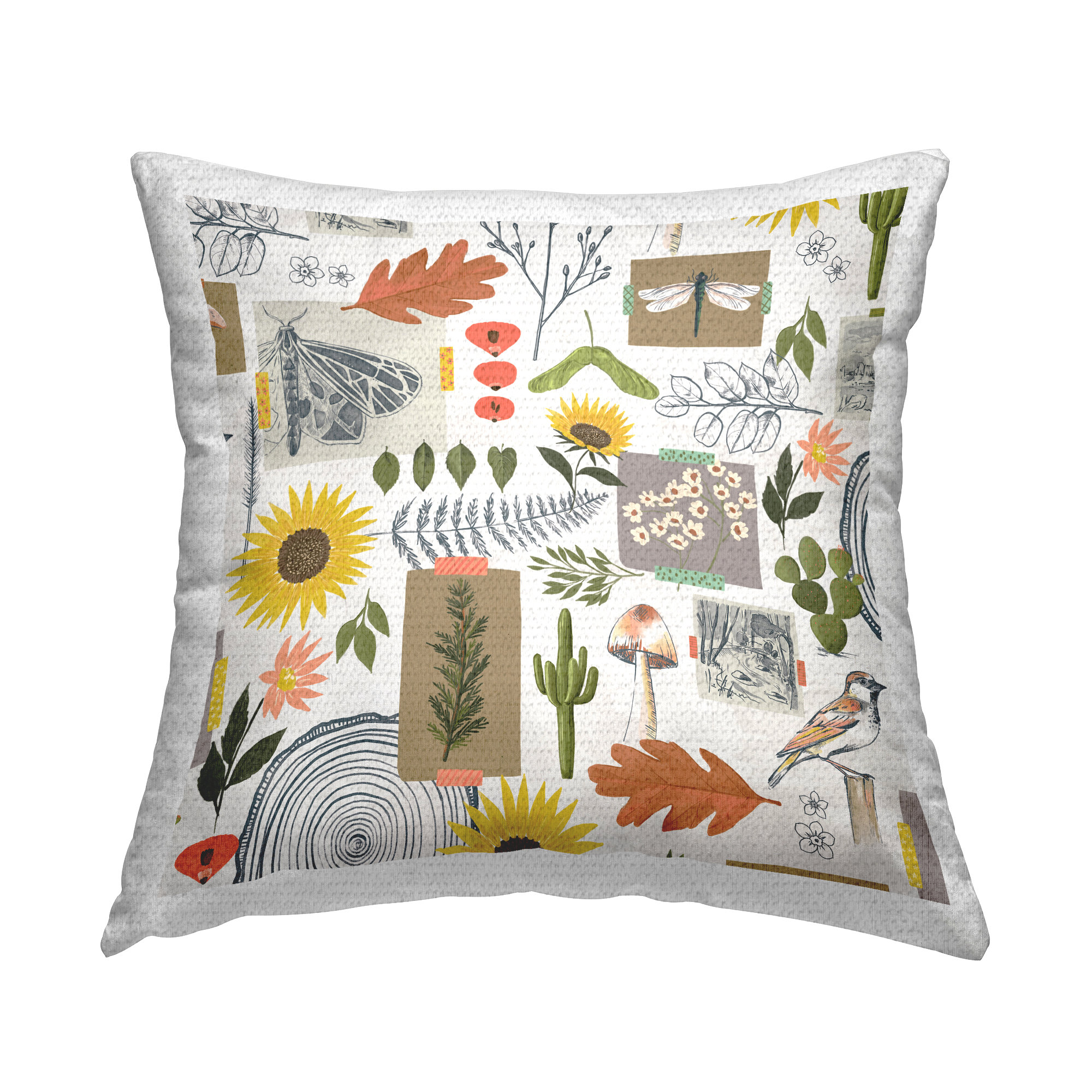 Stupell Industries Varied Nature Collage Botanical Leaves Wildlife ...