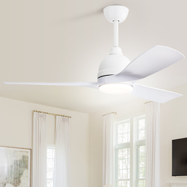 Brayden Studio® Adamsburg 54'' Ceiling Fan with LED Lights & Reviews ...