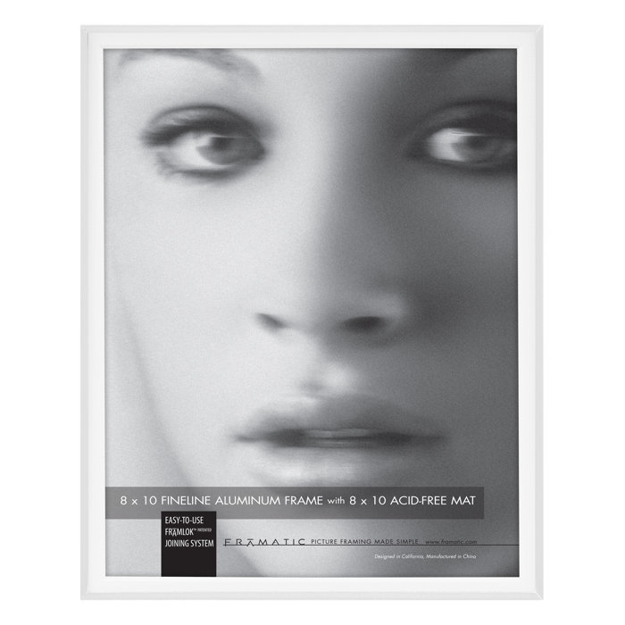 Framatic Fineline Metal Picture Frame & Reviews | Wayfair