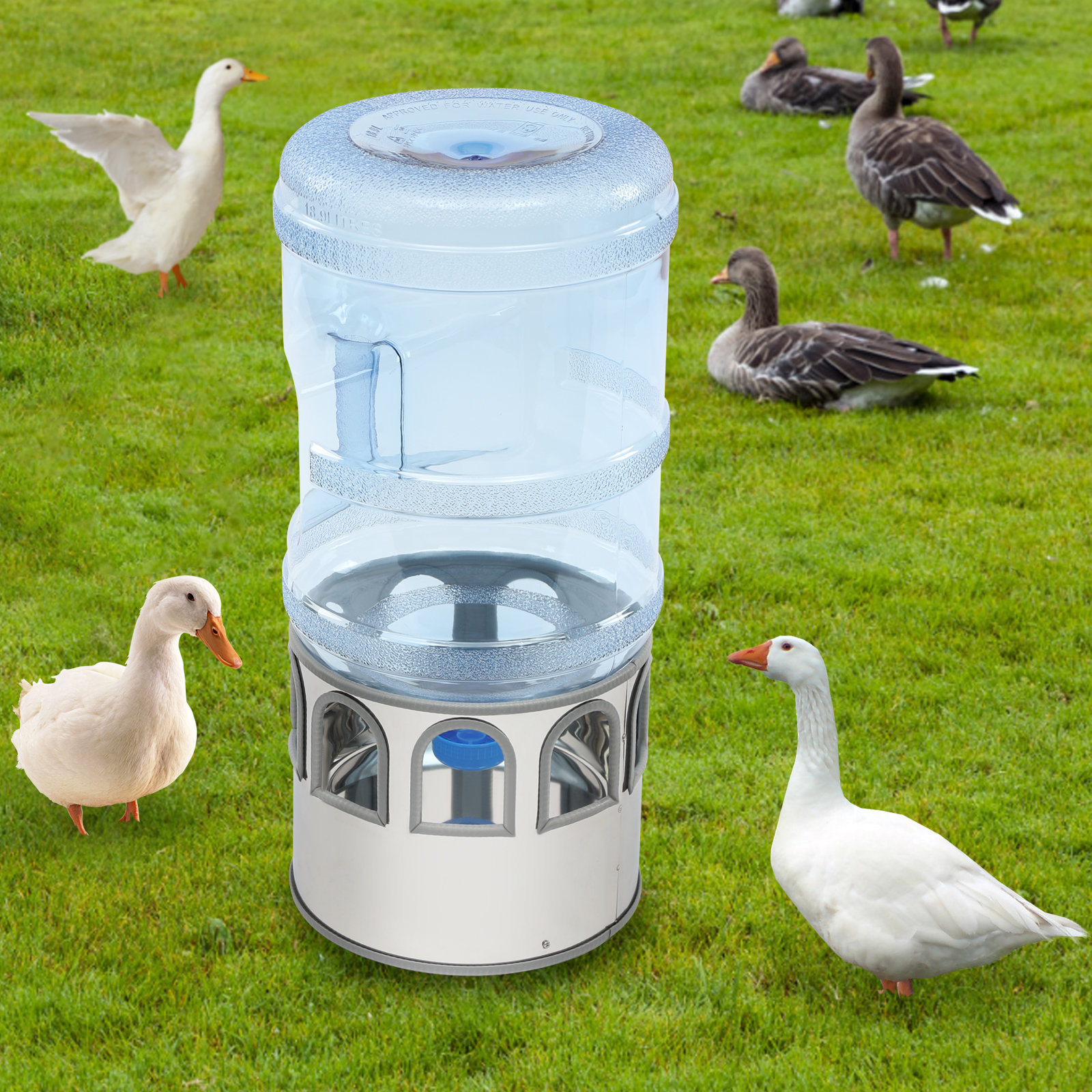 YXSUN Heated Water Bowl For Chickens, Chicken Water Heater With 5 ...