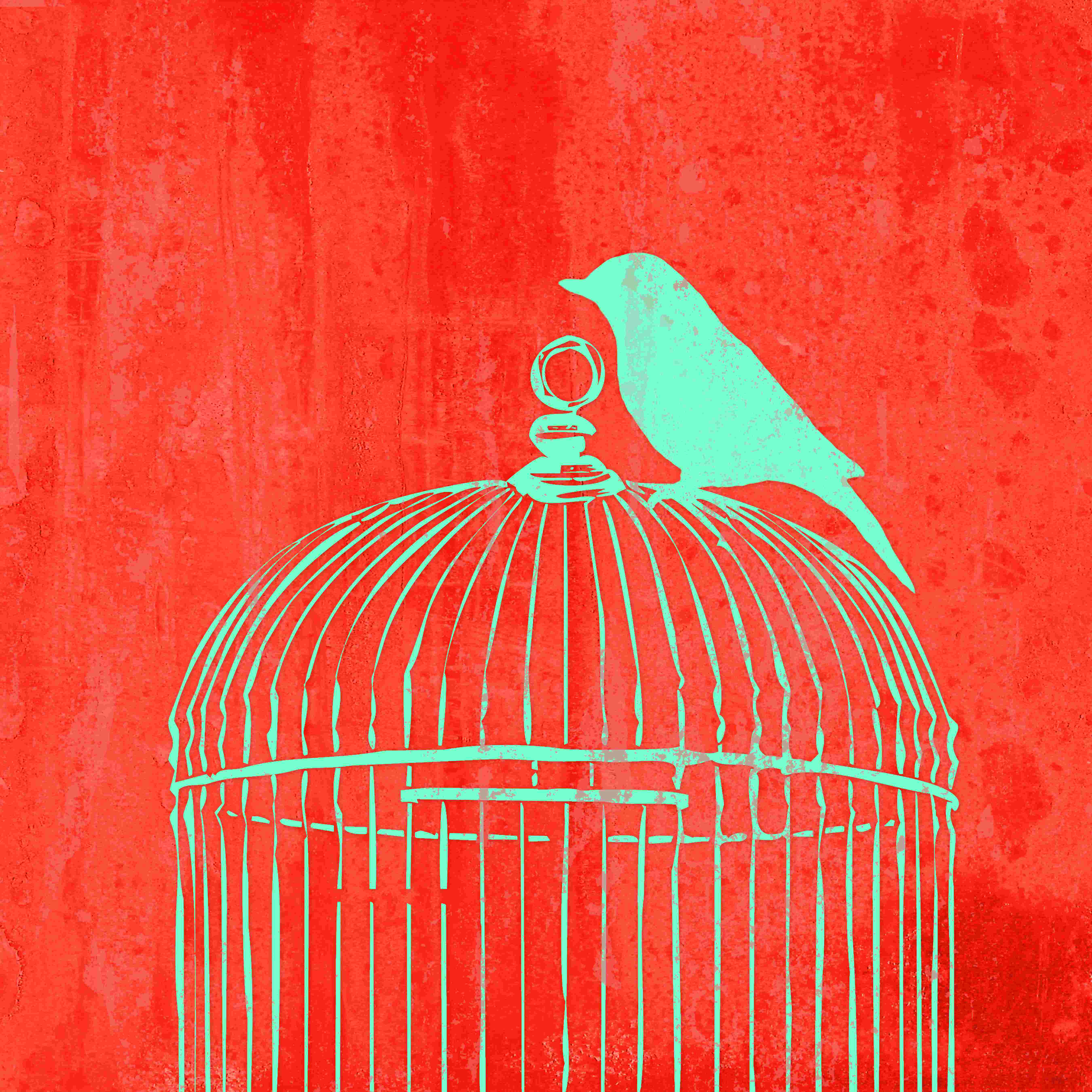 Ophelia & Co. Freebird Coral - Wrapped Canvas Graphic Art | Wayfair