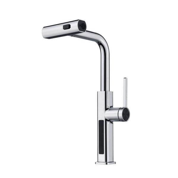 Lefton Single Handle Kitchen Faucet with Accessories & Reviews | Wayfair