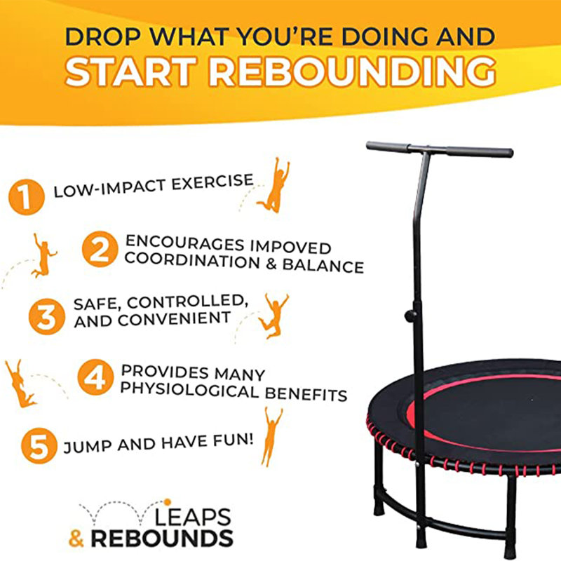 LEAPS & REBOUNDS 9 Round Fitness Trampoline & Reviews | Wayfair