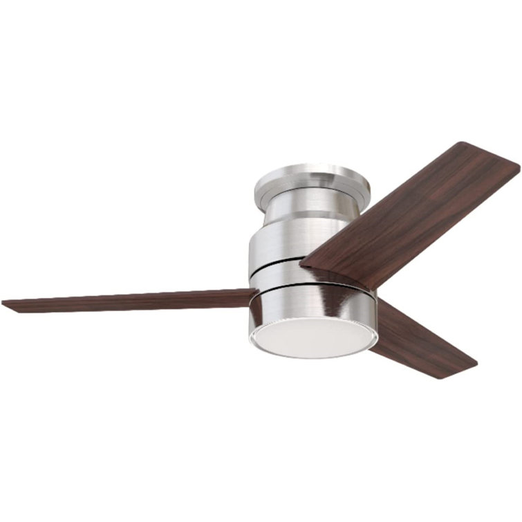Latitude Run® Caliopia 42'' Ceiling Fan with LED Lights & Reviews | Wayfair