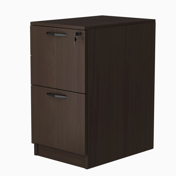 Inbox Zero Negin 15.67'' Wide 2 -Drawer File Cabinet & Reviews | Wayfair