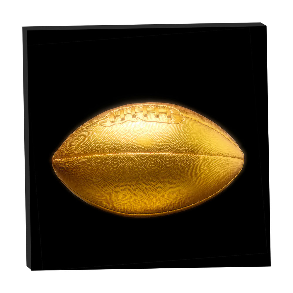 Trinx Gold Designer Football Ball 20x20 - Wayfair Canada