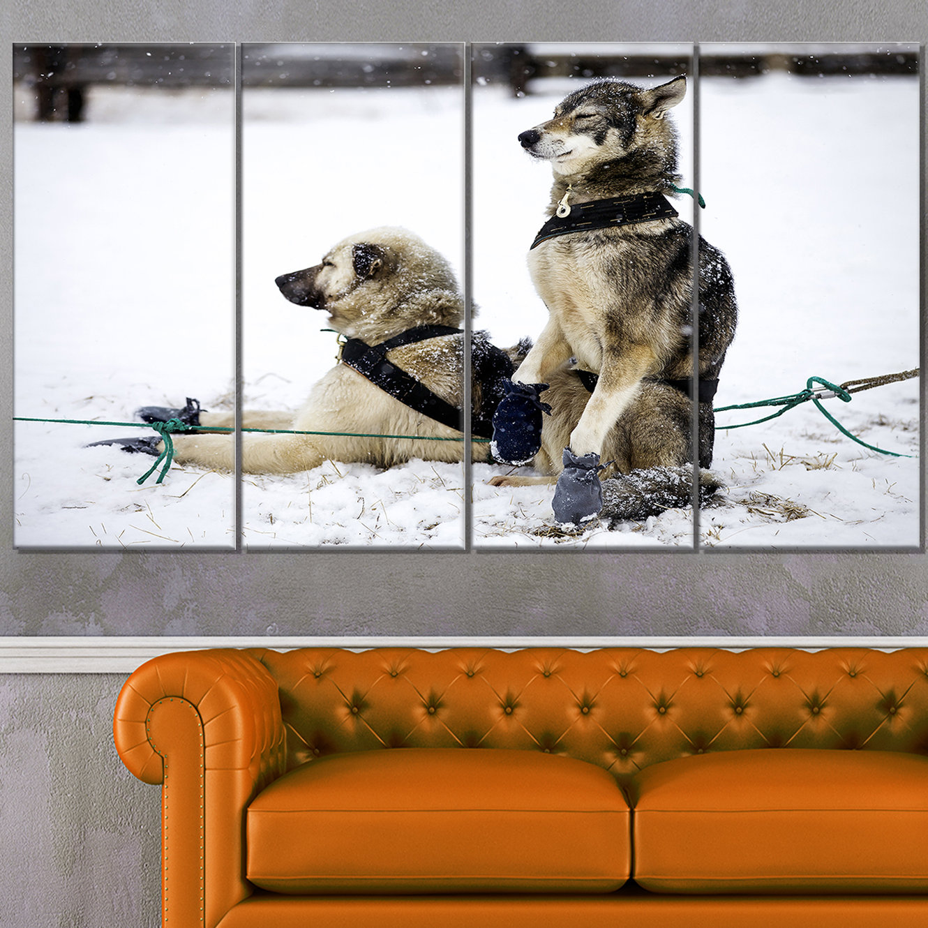 Design Art 'Large Sled Dogs Relaxing' 4 Piece Photographic Print on ...