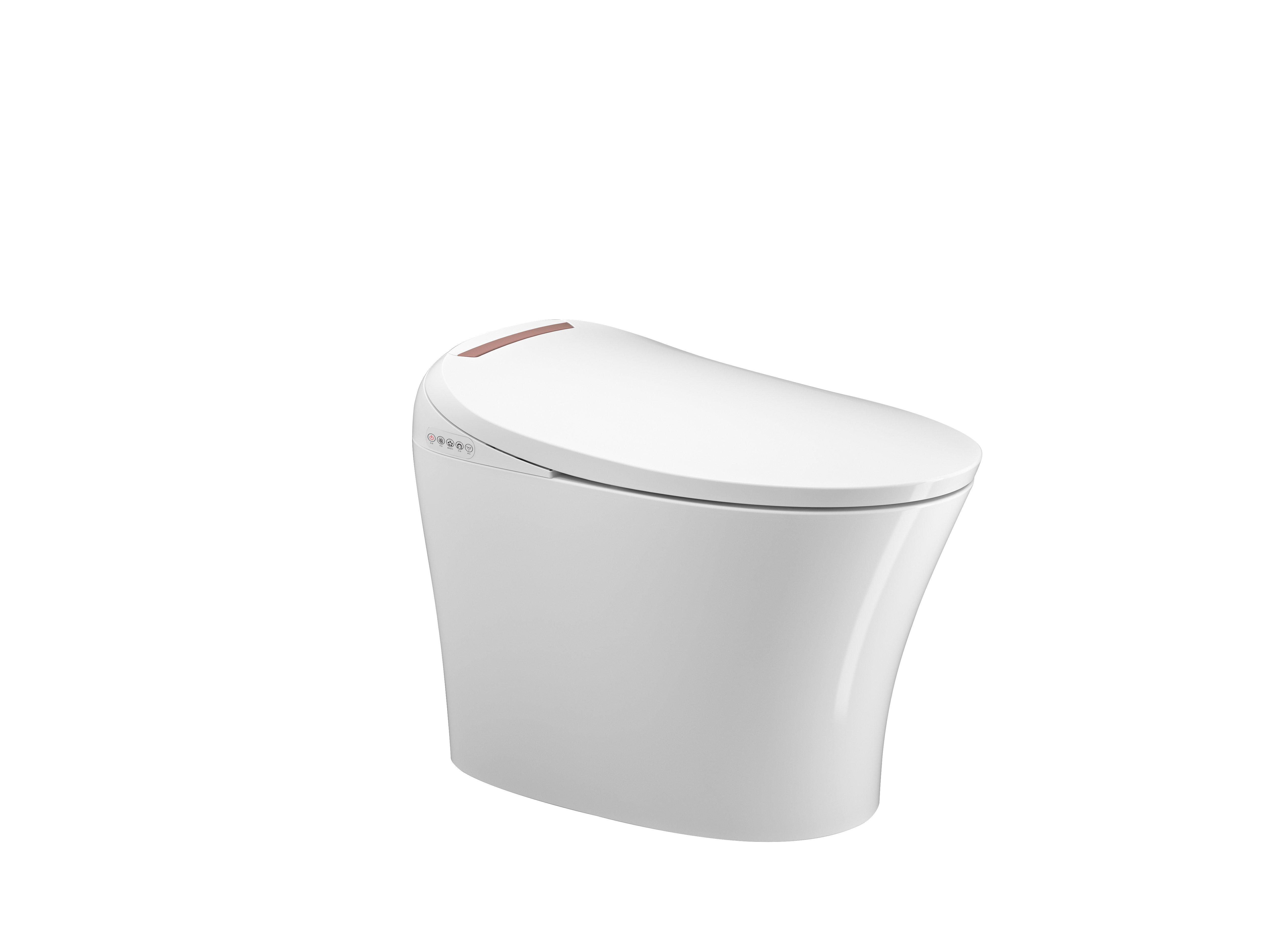 cosvalve Dual-Flush Elongated Bidet Toilet & Reviews | Wayfair