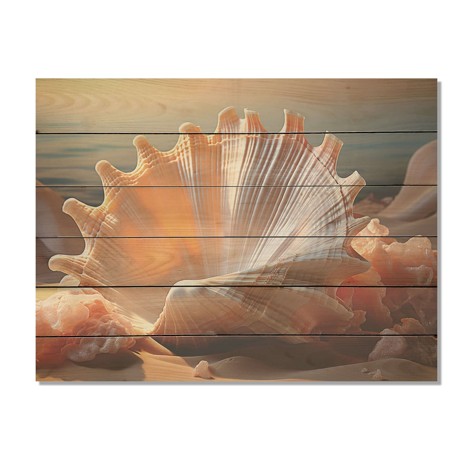 Beachcrest Home Opulent Symbolic Shells I - Seashell Wood Art On ...