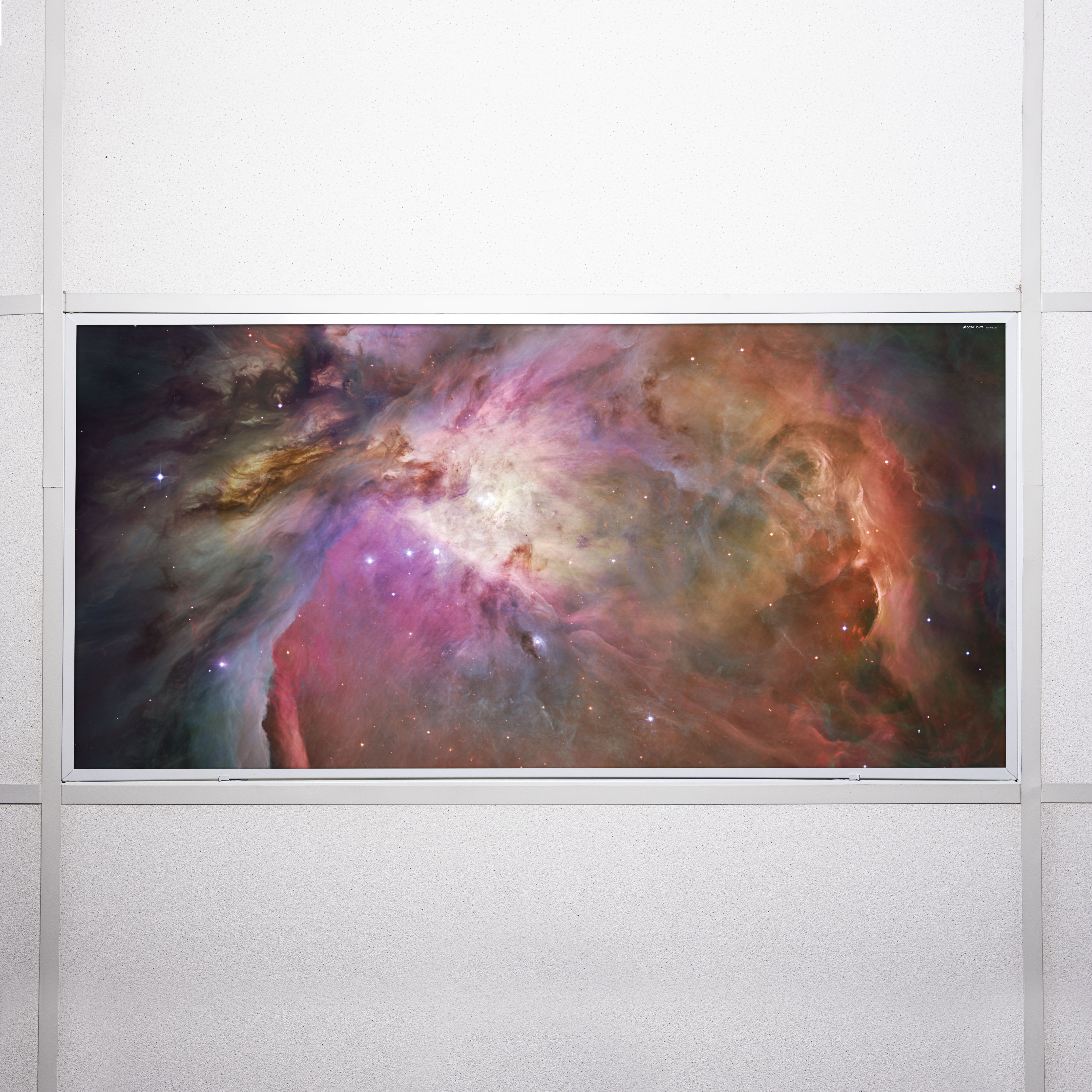 Octo Lights Astronomy Fluorescent Light Covers for Ceiling Lights - For ...