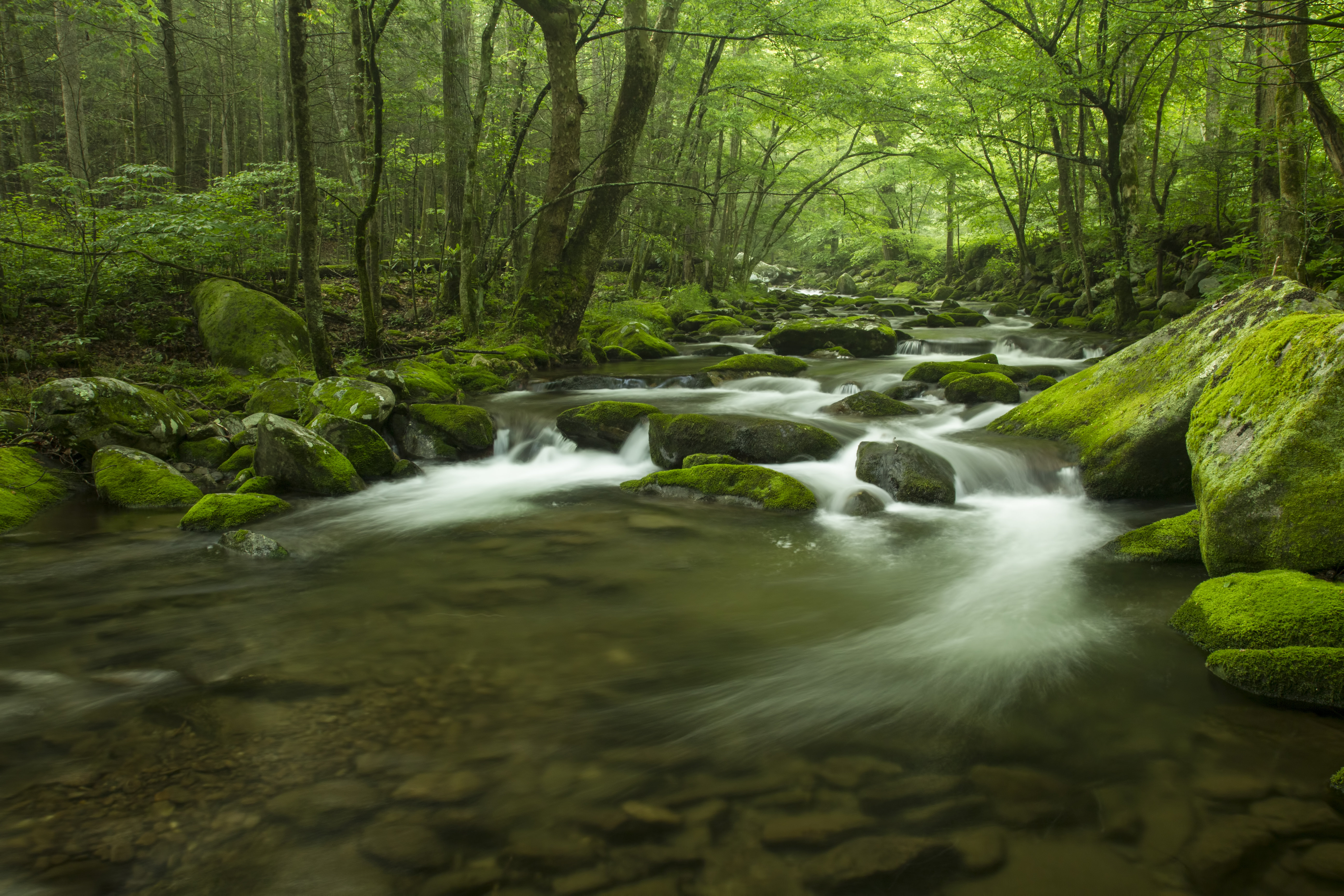 Alpen Home Christenson Mountain Stream After Rain by Rogertrentham ...