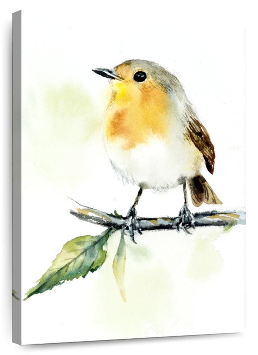 Ebern Designs Brampt Robin Songbird | Wayfair