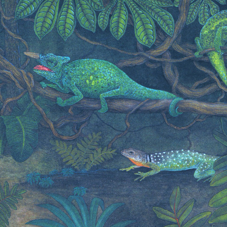 Bay Isle Home Concord Wallcoverings Wallpaper Border Animal Pattern ...