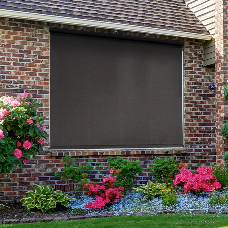 Symple Stuff Sharice Semi-Sheer Outdoor Roller Shade & Reviews | Wayfair