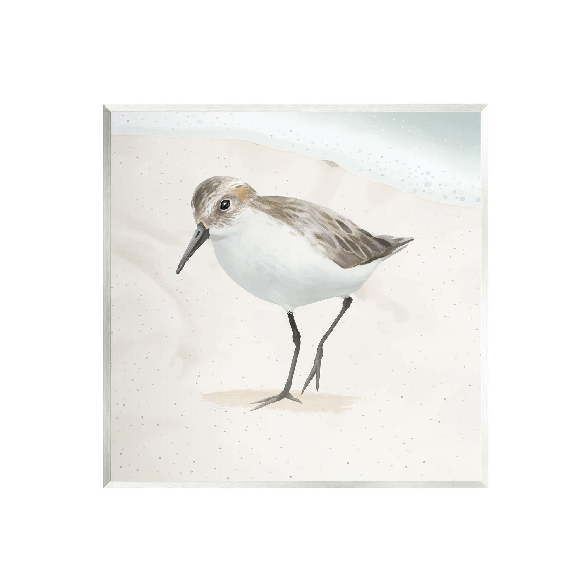 Stupell Industries Stepping Sandpiper Bird Ocean Shoreline Beach Scene ...