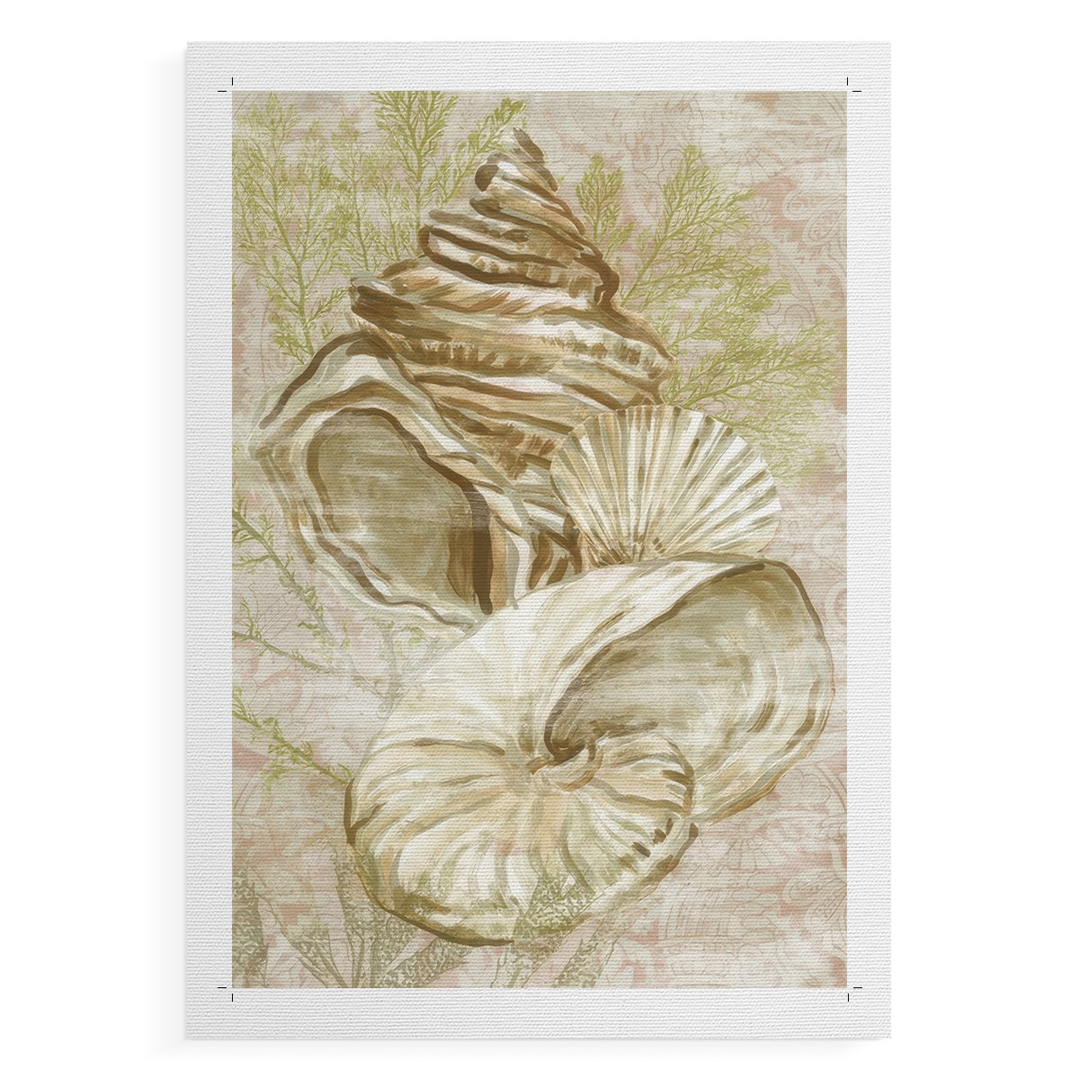 Highland Dunes Antique Peach Shell Collage I -Canvas Print Only - NOT ...