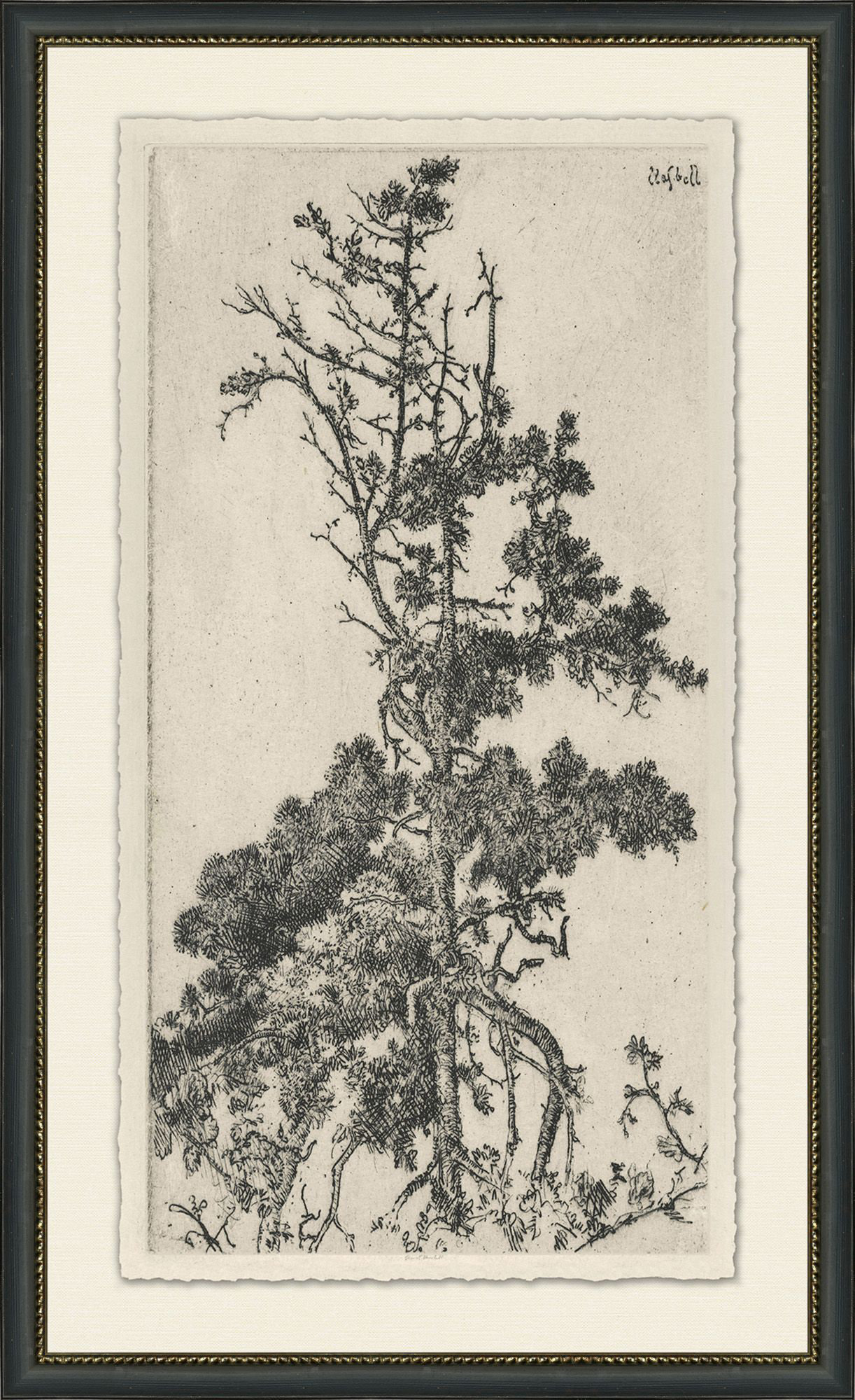 Wendover Art Group Tree Tops 5 | Perigold