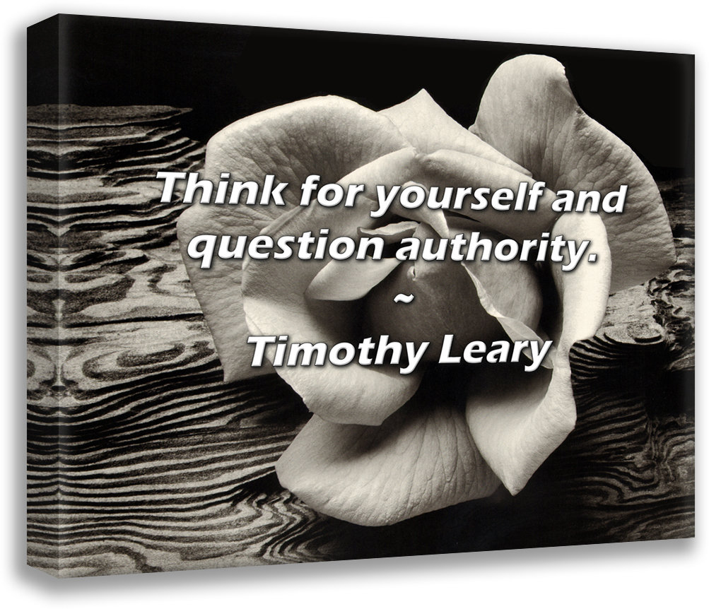 Astoria Grand Artsy Quote "Think for yourself and question authority ...