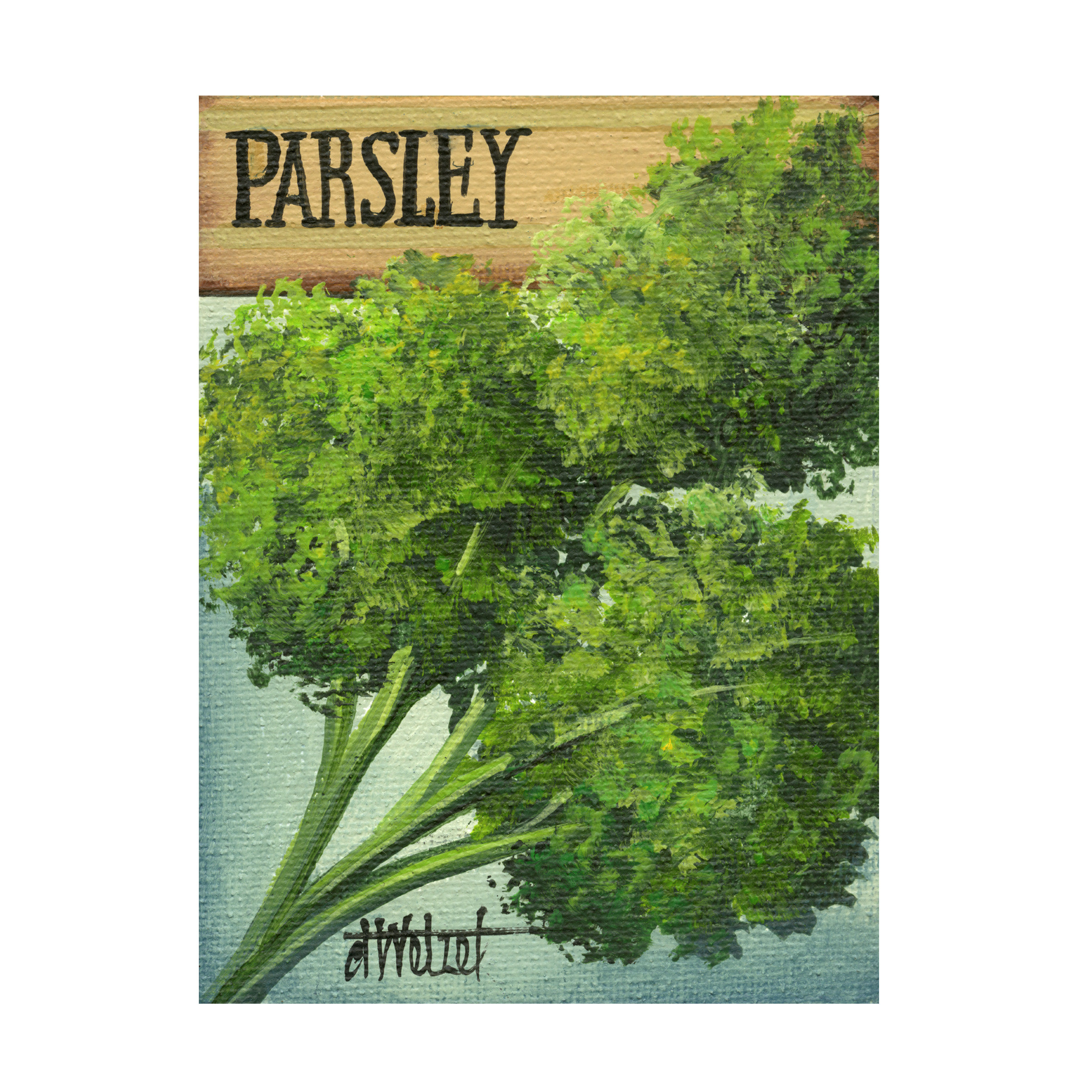August Grove® Argyres Seed Packets 30 - Parsley On Canvas by Debbi ...