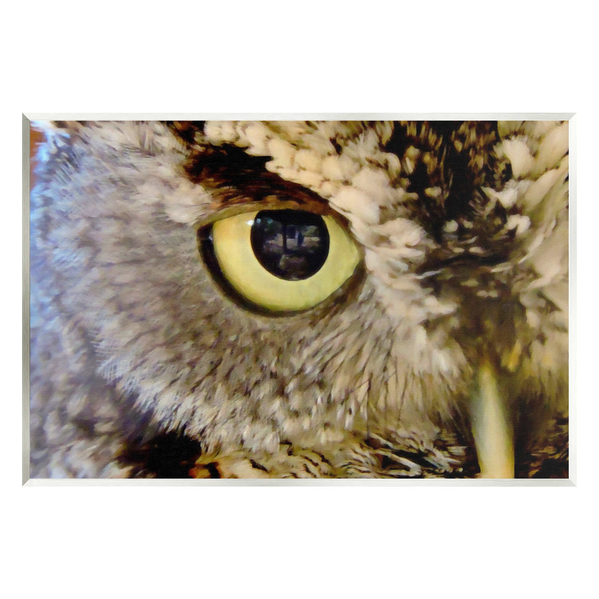 Stupell Industries Owl Eye Close Up Wildlife Wall Plaque Art By Graffi ...