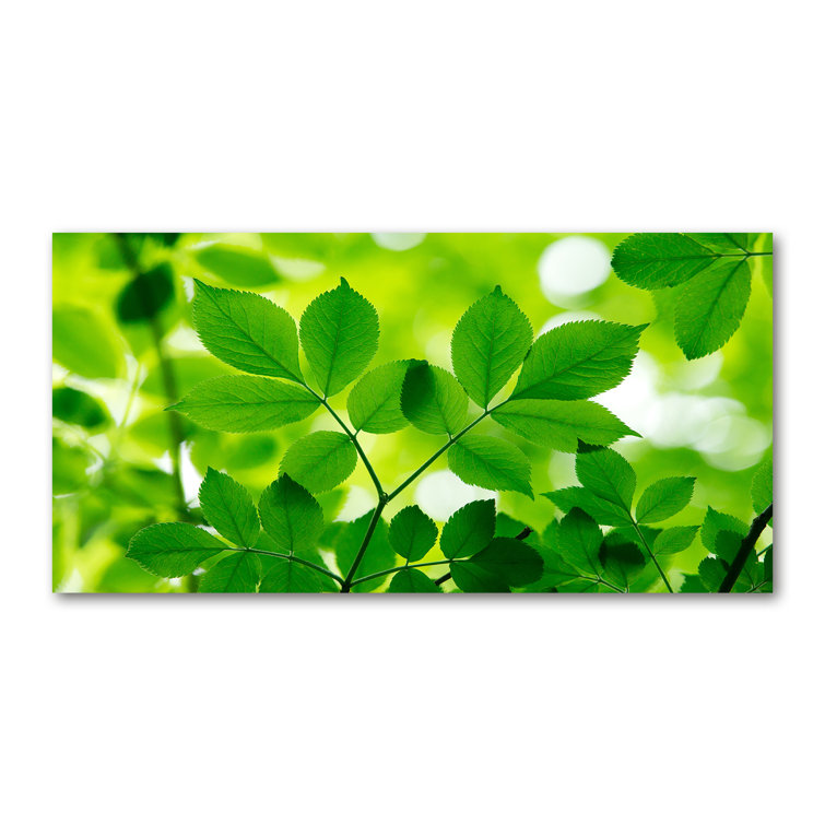 Ebern Designs Green Leaves - Wrapped Canvas Print | Wayfair.co.uk