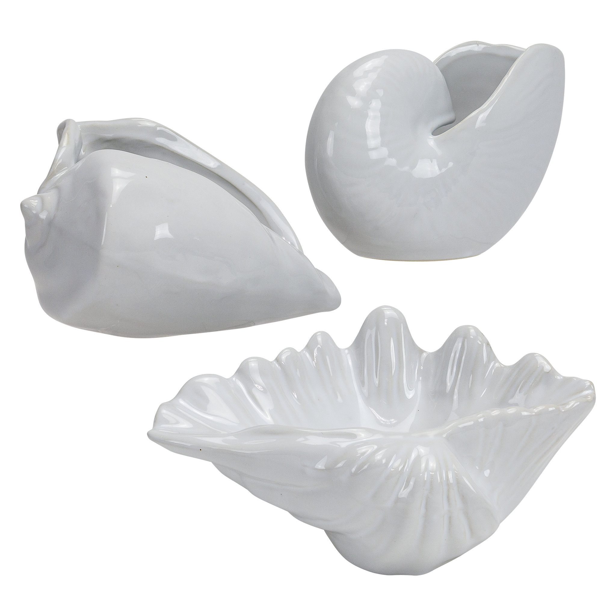 Selectives 3 Piece Decorative Missouri Shell Set | Wayfair