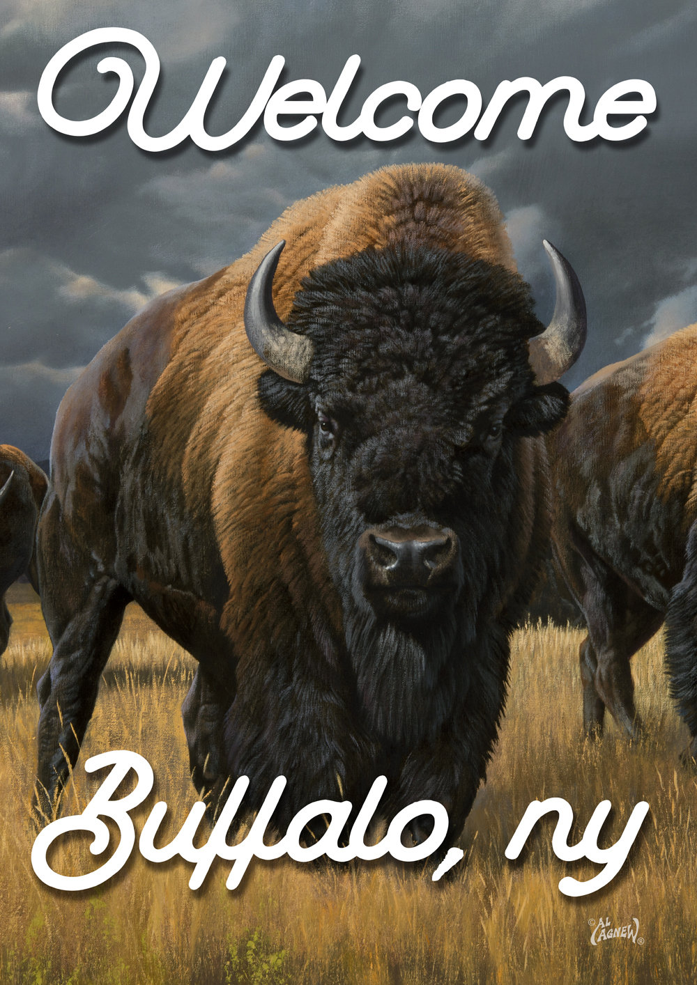 Toland Home Garden Where the Buffalo Roam-Welcome Buffalo NY 12.5 x 18 ...