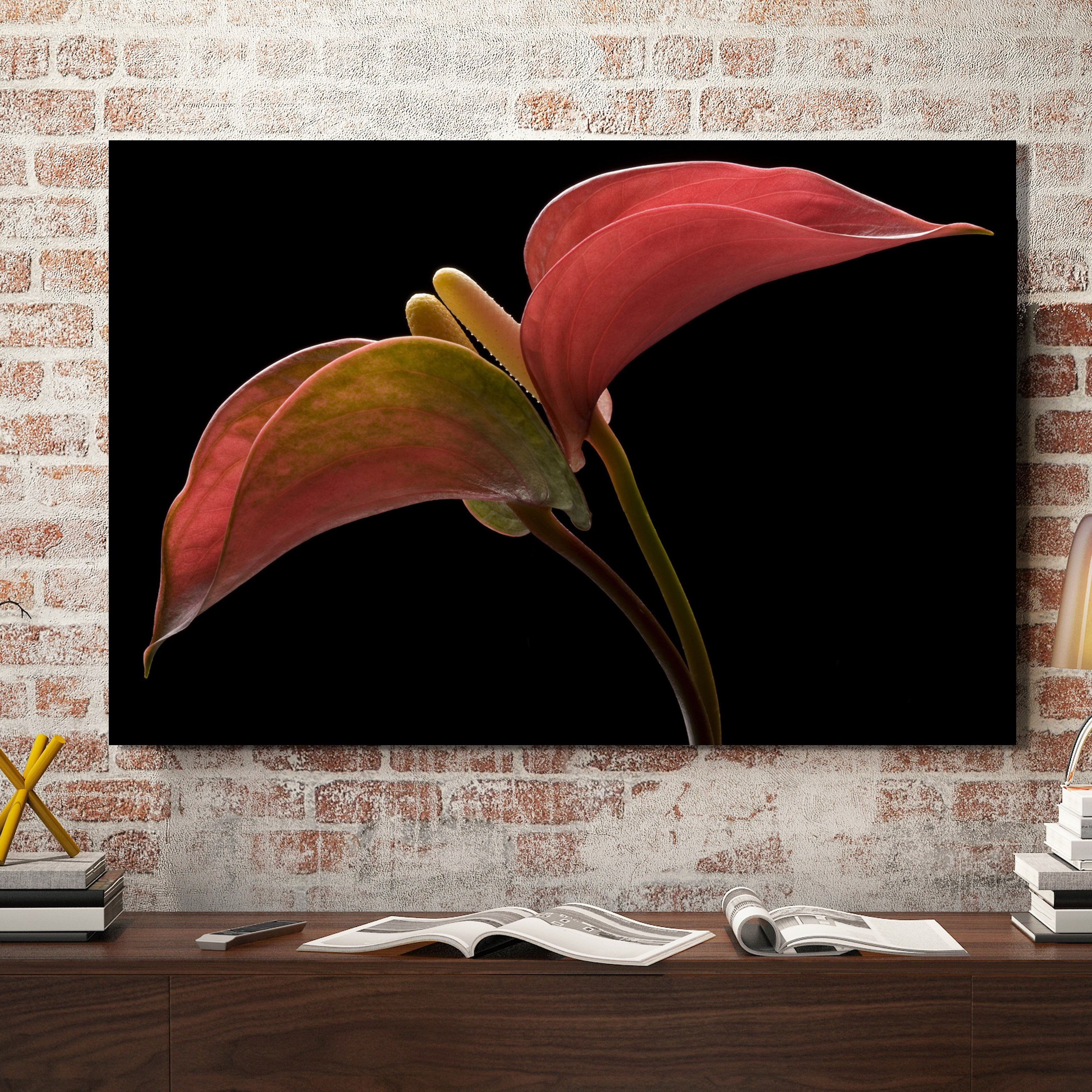 Jaxson Rea 'Anthurium 2' by Barry Seidman Photographic Print on Wrapped ...