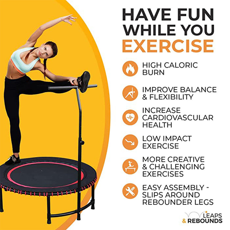 LEAPS & REBOUNDS 9 Round Fitness Trampoline & Reviews | Wayfair