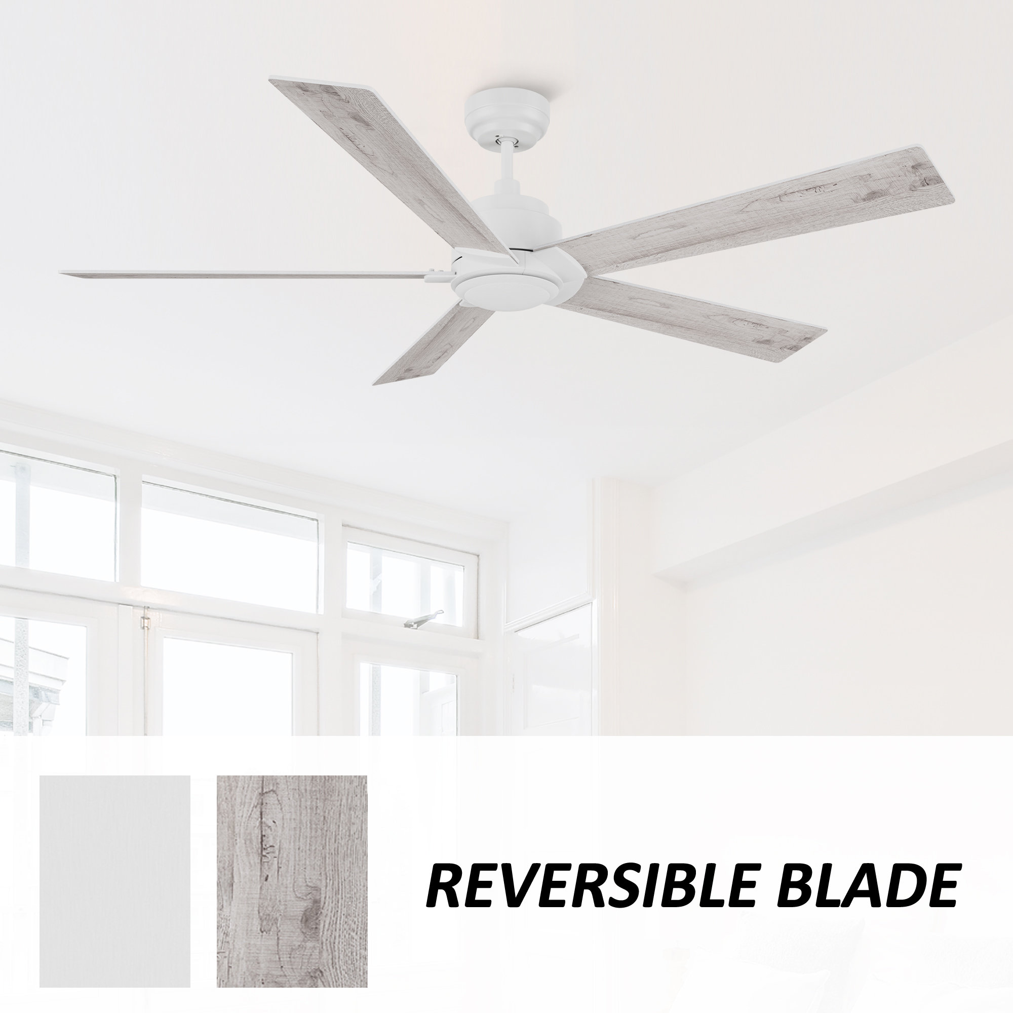 CARRO 60-Inch DC Motor Ceiling Fan with Remote, without Light | Wayfair