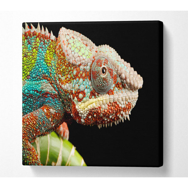 World Menagerie Chameleon Face - Wrapped Canvas Art Prints | Wayfair.co.uk