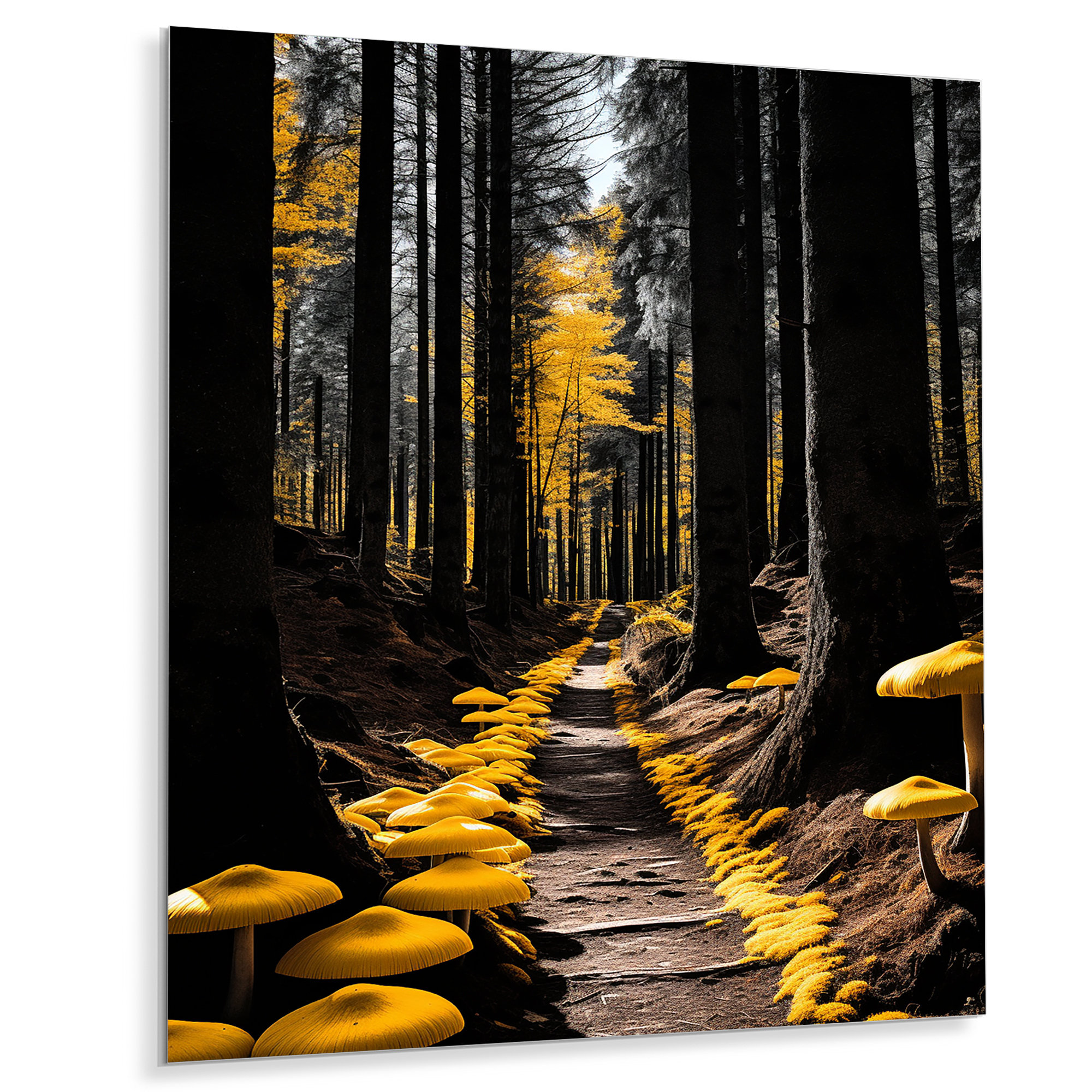 Millwood Pines Yellow And Black Forest Path II - Landscape & Nature ...