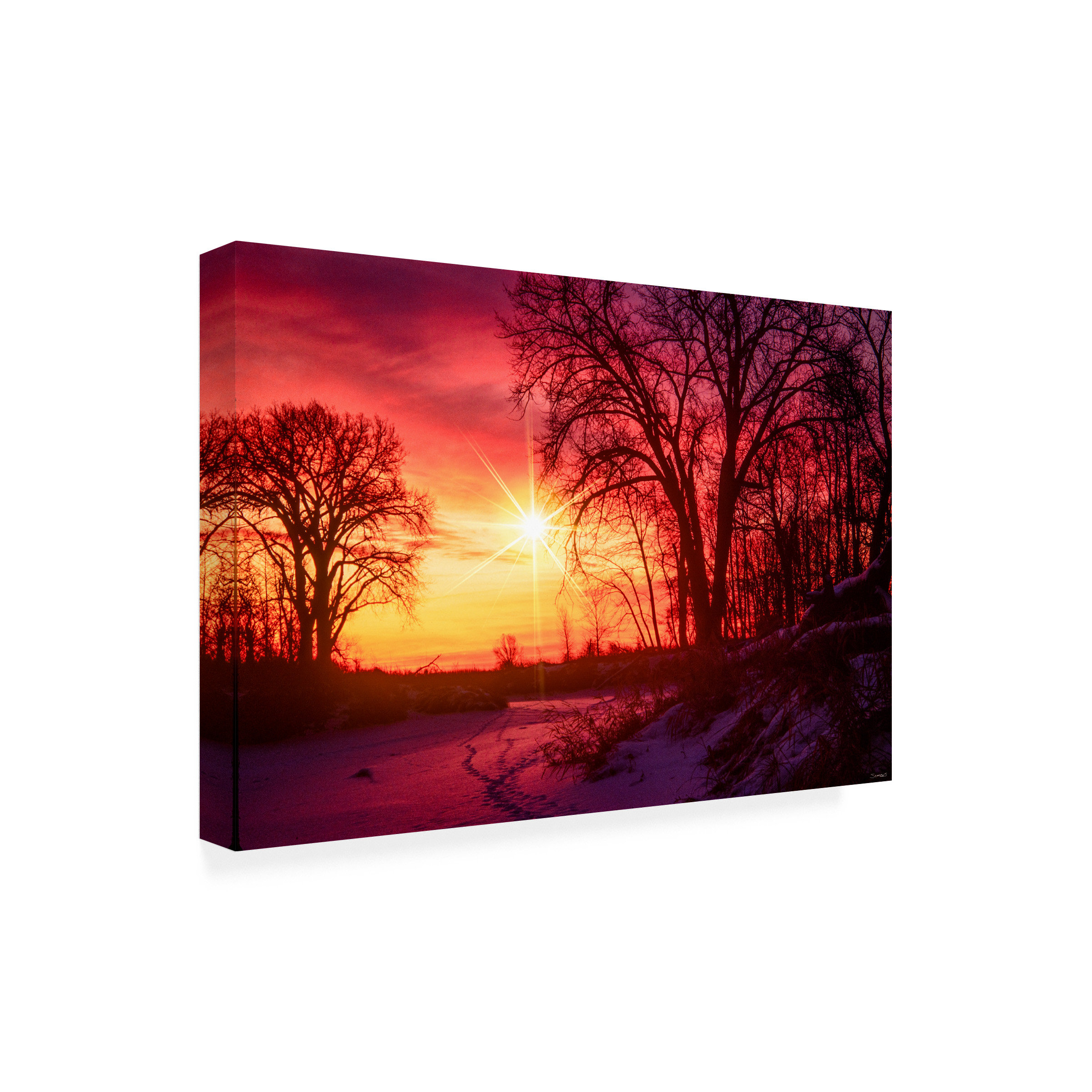 Millwood Pines Gordon Semmens Buffalo River State Park 1 Canvas Art ...