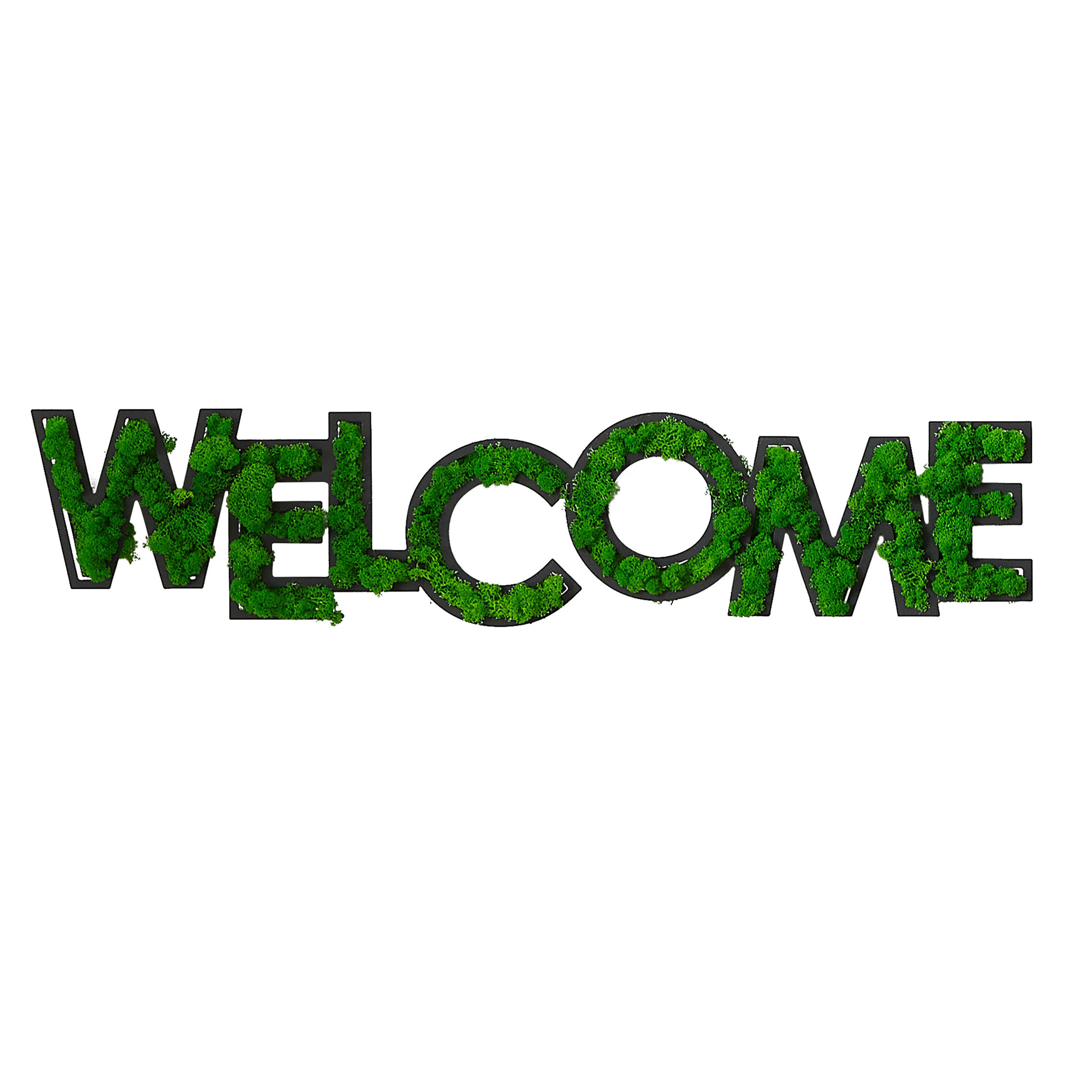 Gracie Oaks WELCOME Letter Art Moss Wall Decor | Wayfair