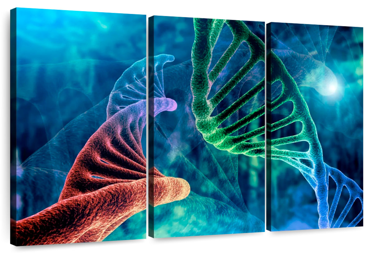 Elephant Stock Two DNA Strands | Wayfair