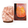Metro Lane Dulles 10.91 lbs Salt Lamp | Wayfair.ie