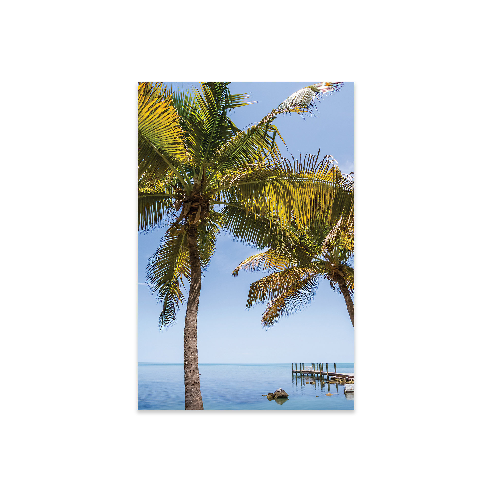 Bay Isle Home™ Florida Just Paradise Print On Acrylic Glass - Wayfair ...