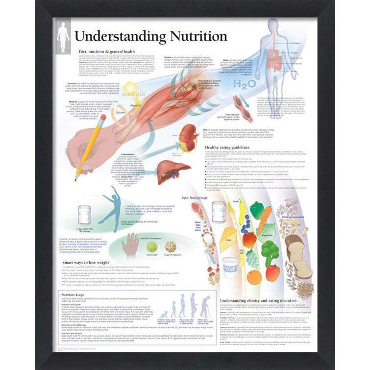 Trinx Nutrition Framed Medical Poster - Wayfair Canada