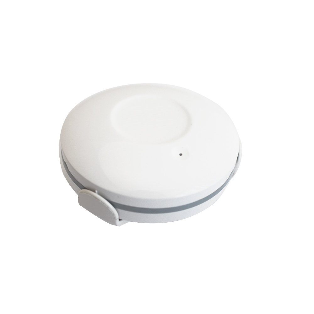 iview Smart Water Leak Detector | Wayfair