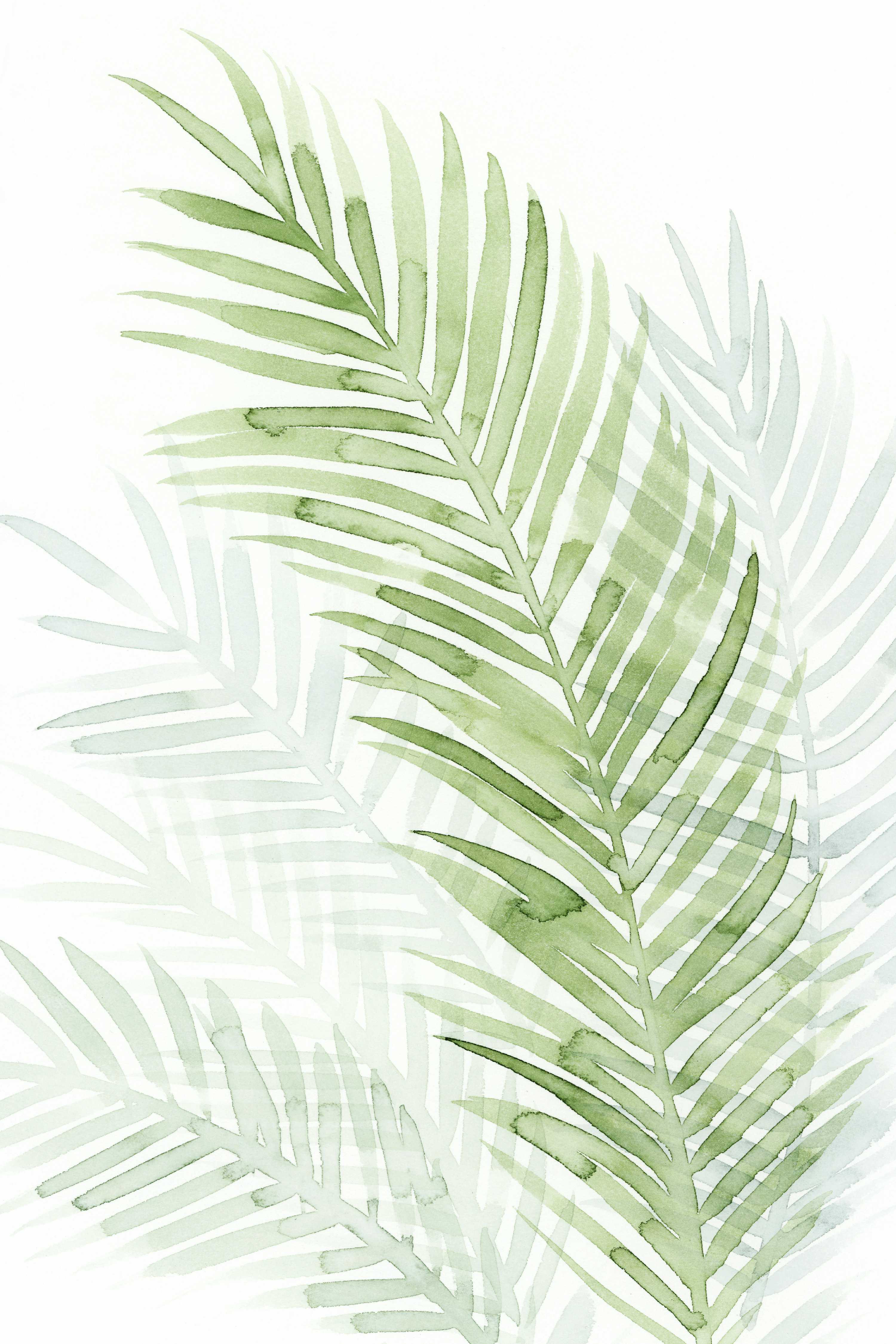 Bayou Breeze Faint Palms I | Wayfair