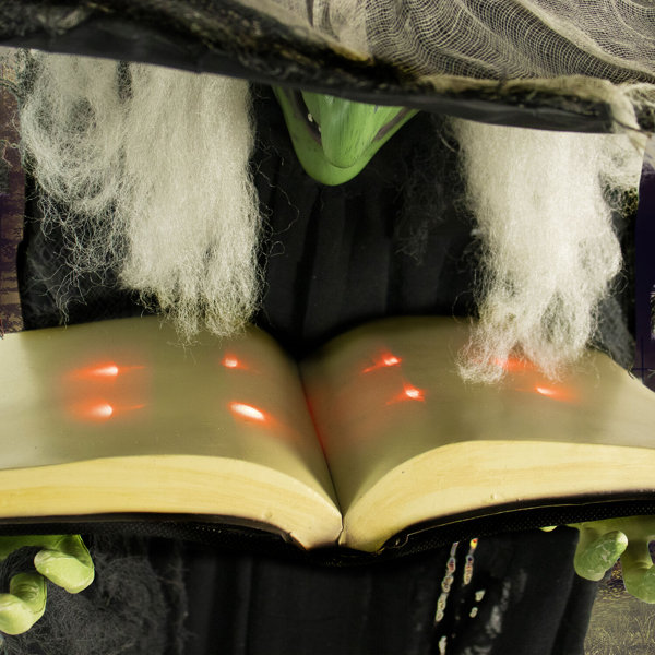 Haunted Hill Farm Life-Size Talking Witch Holding Spell Book, Halloween ...