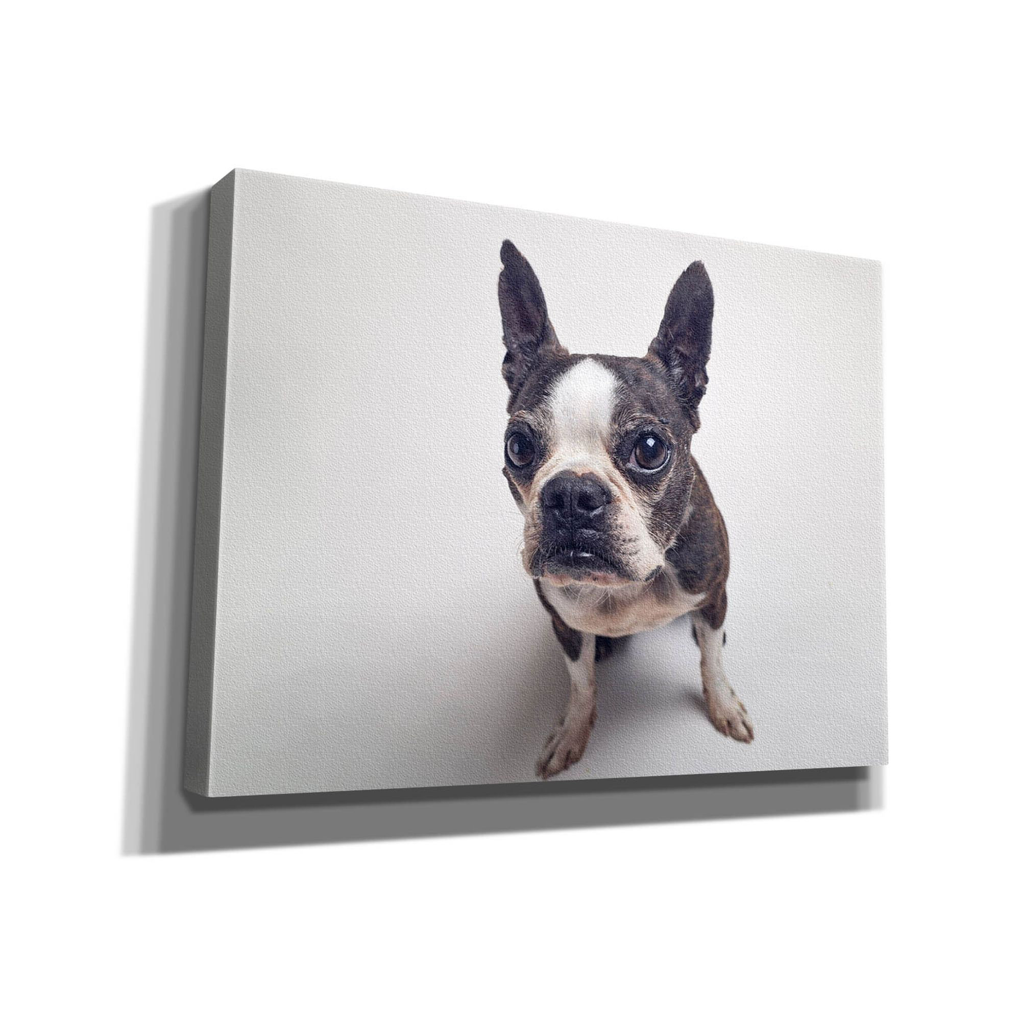 Latitude Run® Trevun Norton Moses | Wayfair
