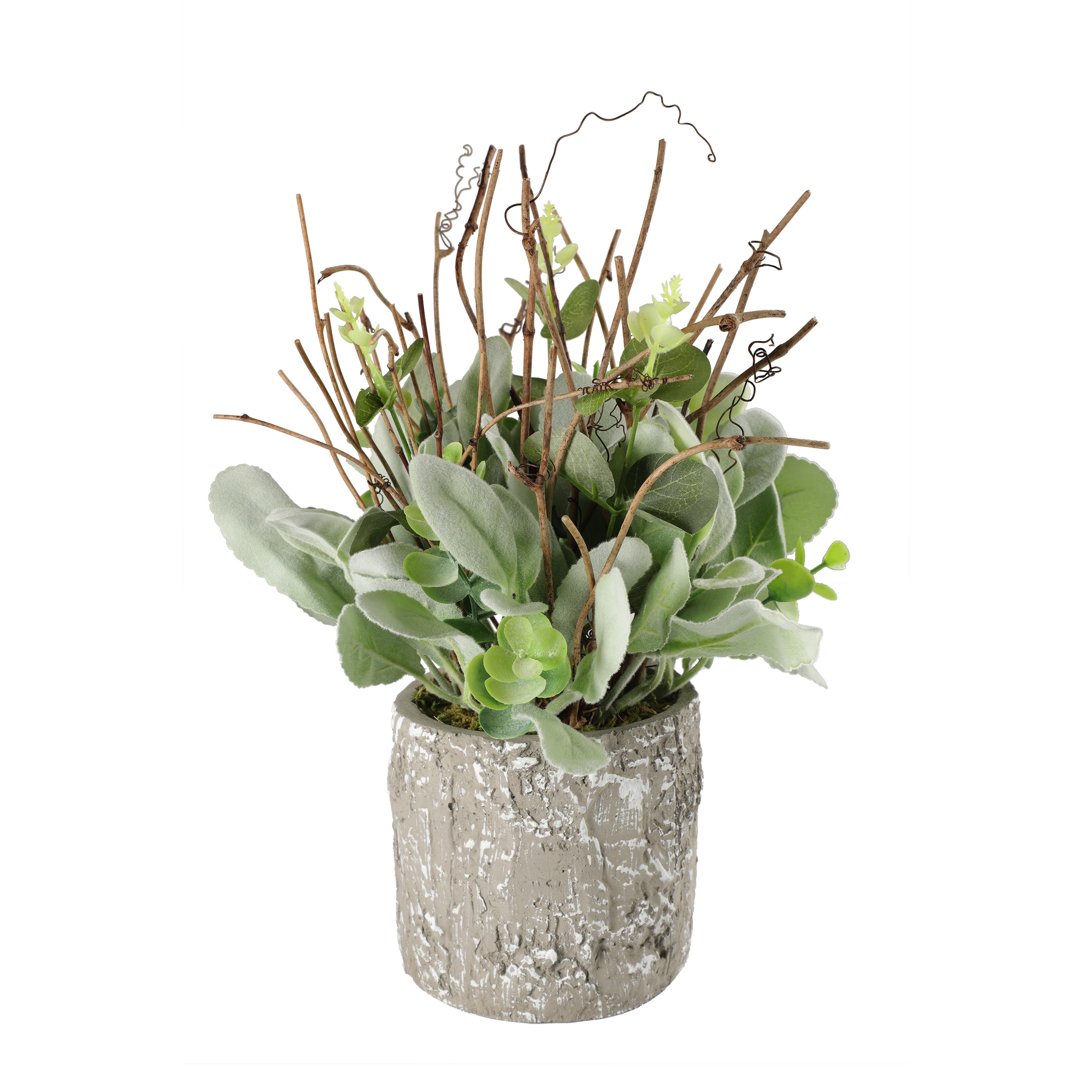 Primrue 11" Lambs Ear Potted Plant With Twig & Greenery Leaves , Cement ...