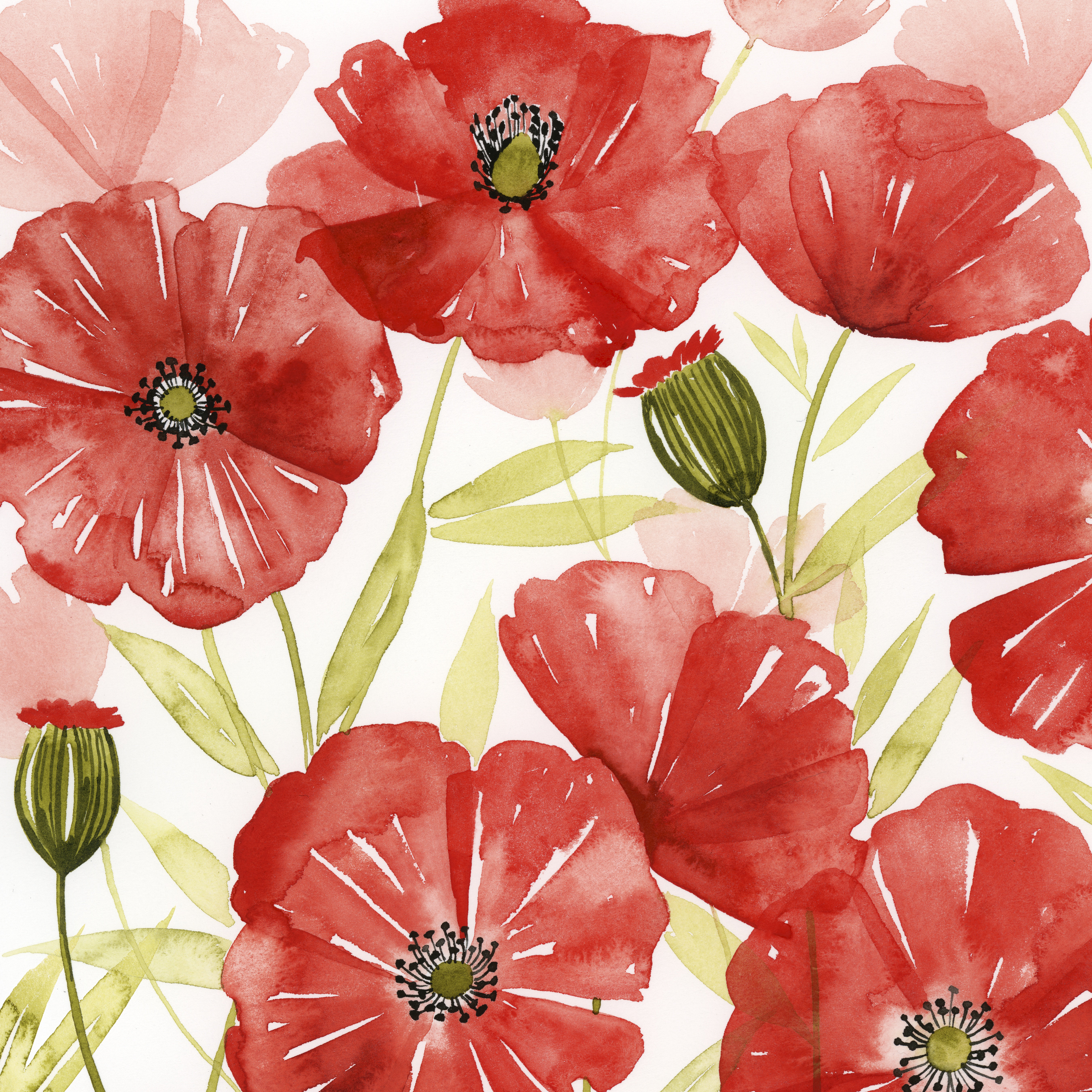 Red Barrel Studio Poppy Screen I - Wayfair Canada