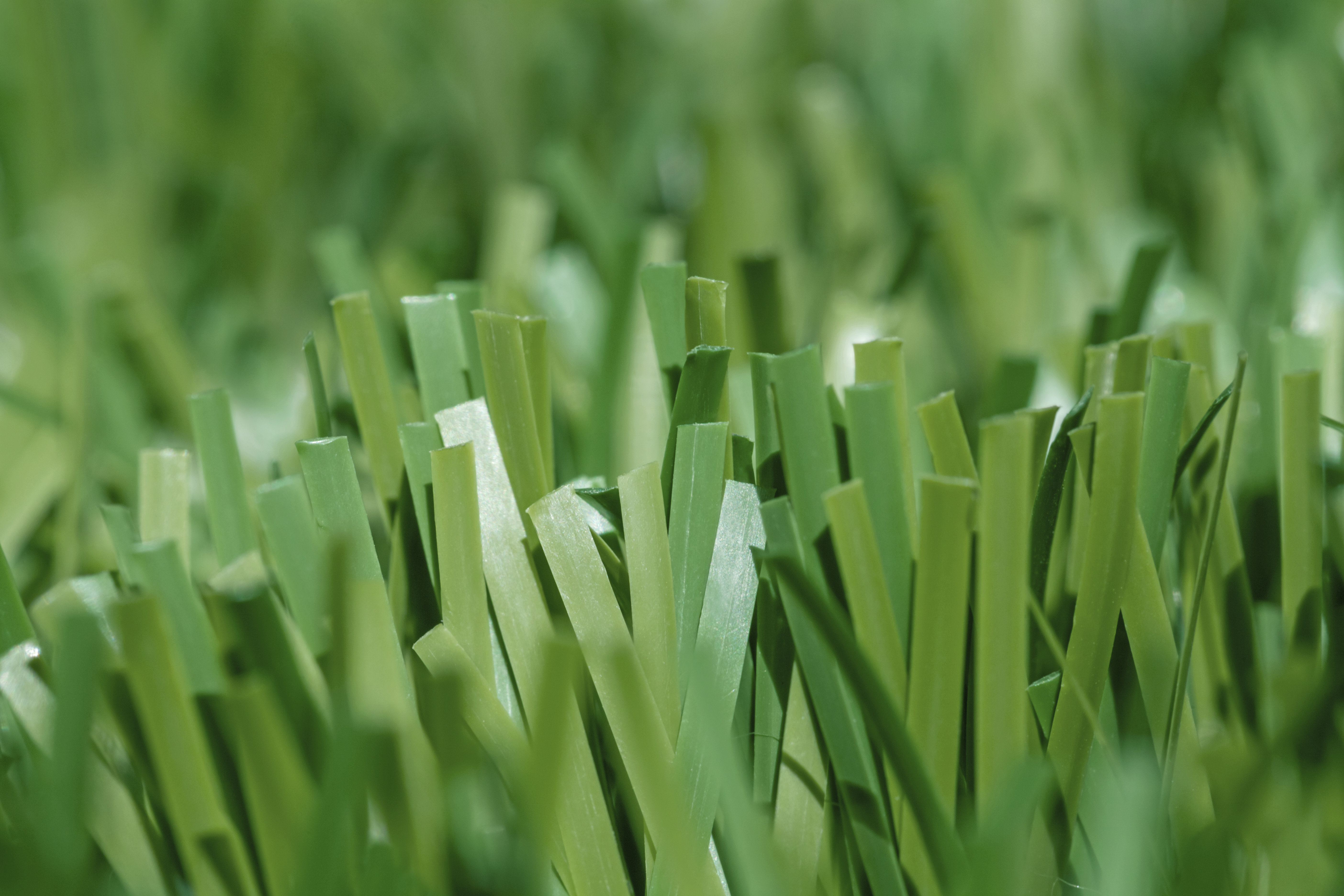 Ebern Designs Turf - Wrapped Canvas Photograph | Wayfair