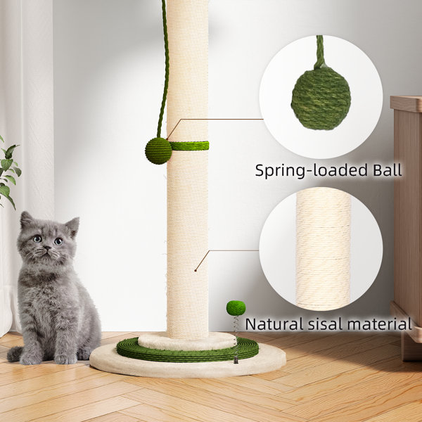 Tucker Murphy Pet™ Derle Scratching Post | Wayfair