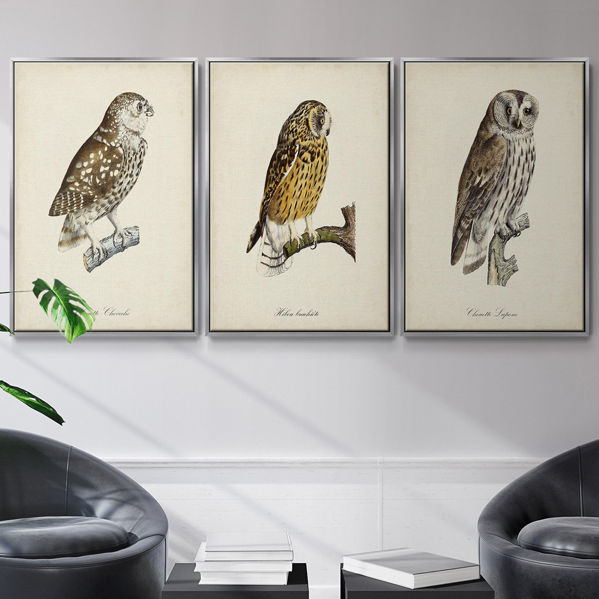 Wexford Home French Owls IFramed Premium Gallery Wrapped Canvas Set of ...