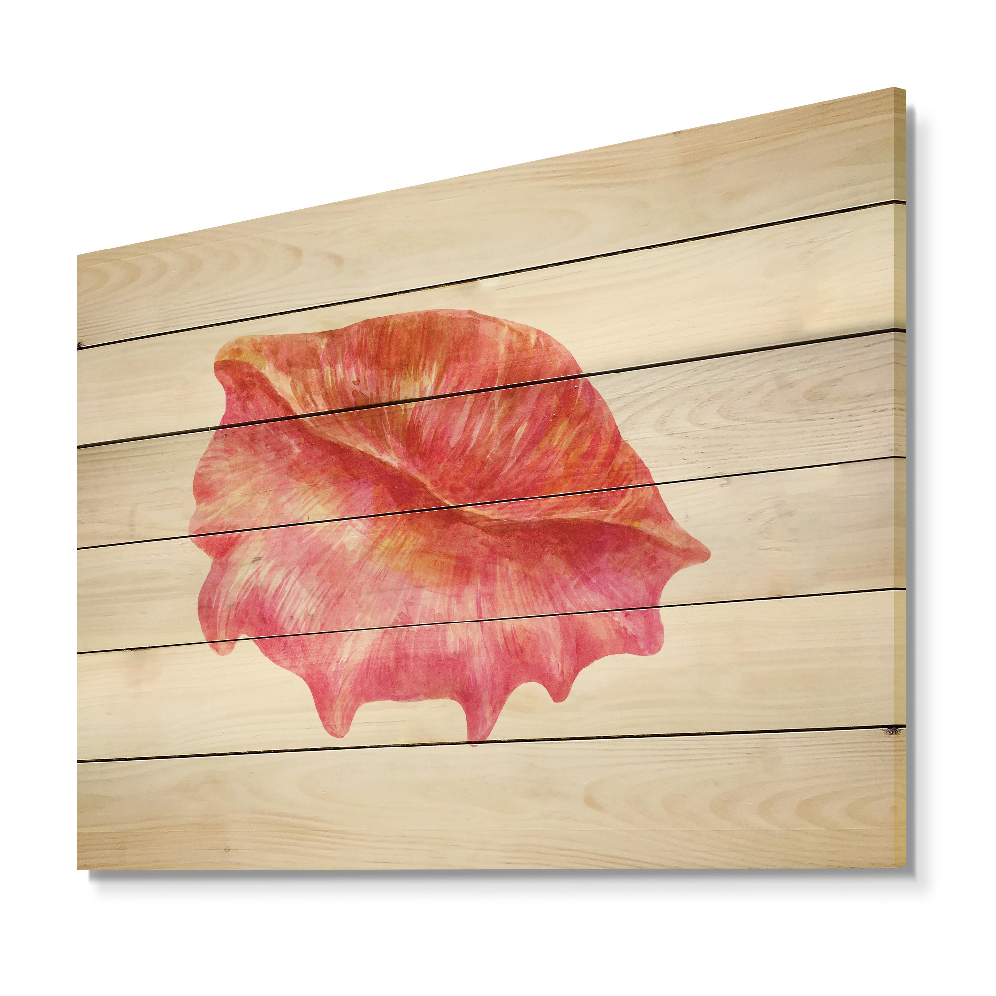 Highland Dunes Pink Sea Shell Pink Sea Shell - on - Wayfair Canada