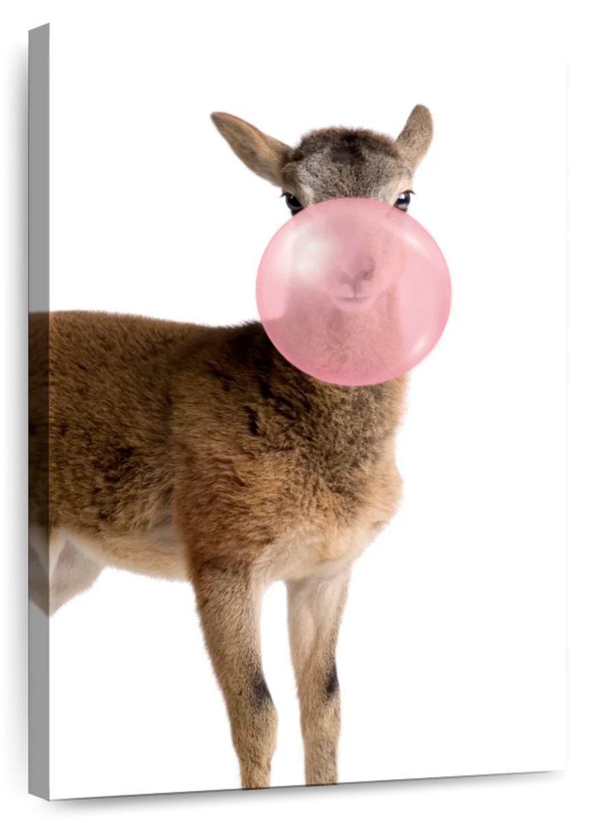 Trinx Deer Bubble Gum - Wayfair Canada